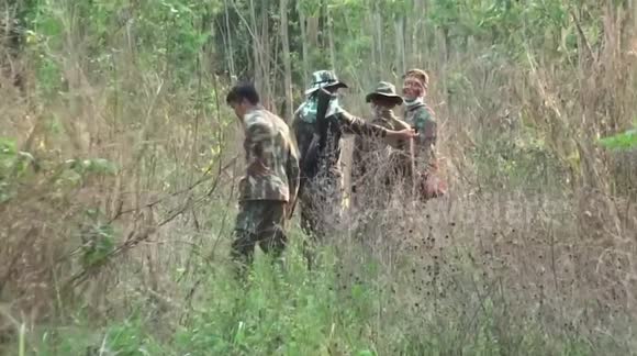 Wildlife officers issue 'arrest warrant' for hostile wild elephant that ...