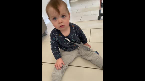 'Cheerful baby boy in TOTAL SHOCK after mischievous cockapoo tramples ...