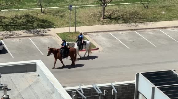 Austin Police Department Mounted Patrol Unit on an afternoon patrol in ...