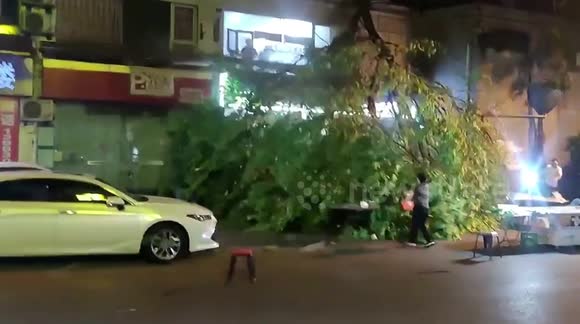 Huge tree falls onto pedestrians as strong winds batter Chinese city ...