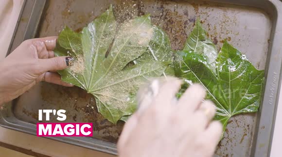 Noam is a gender fluid chef, using the power of food to break the ...