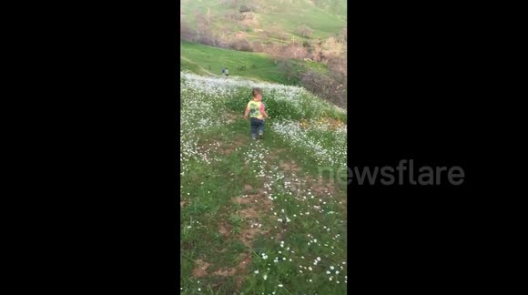 Boy Mistakes Poop for Rock - Buy, Sell or Upload Video Content with ...