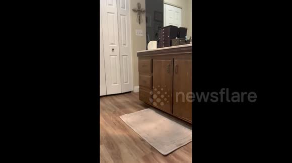 Toilet Paper Poop Prank - Buy, Sell or Upload Video Content with Newsflare