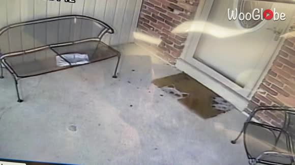 Epic Amazon delivery fails caught on CCTV - Buy, Sell or Upload Video ...