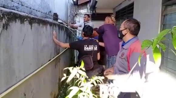 Massive python hauled from terrified family's yard in Indonesia - Buy ...
