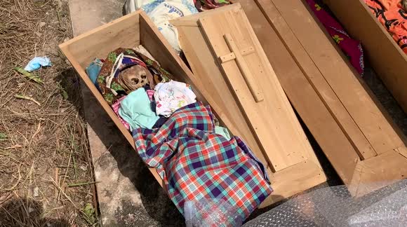 The Living Dead: How The Toraja People Of Indonesia Honor Their ...