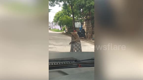 Wild monitor lizards locks in hug during fierce duel in Thailand - Buy ...