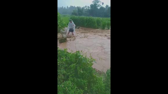 Floods destroy dozens of hectares of rice fields in Vietnam - Buy, Sell ...