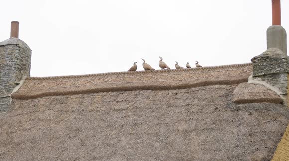 Traditional Thatched roof on Grade two Sleepy Thatch cottage, with ...