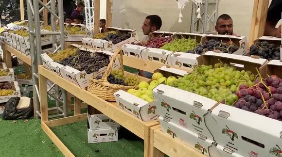 Palestinians attend the annual grape festival in Halhul village, north ...
