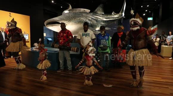 Meuram Murray Island Dance Group performing the shark totem dance - Buy ...