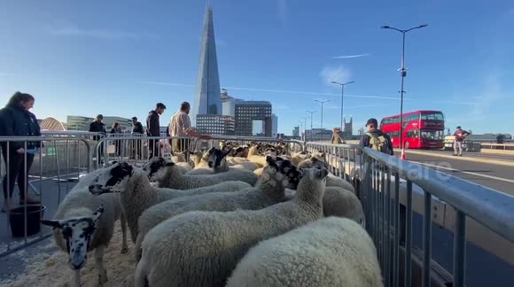 Lord Mayor of London joined by broadcaster and farmer Kate Humble in ...