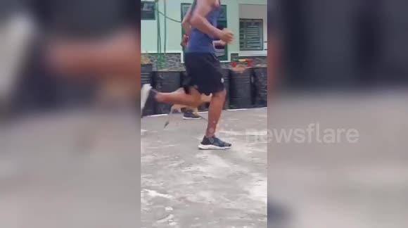 Tireless cassowary bird joins soldiers in daily running workout - Buy ...