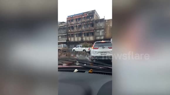 Dozens of wild monkeys ransack pickup truck carrying bananas - Buy ...