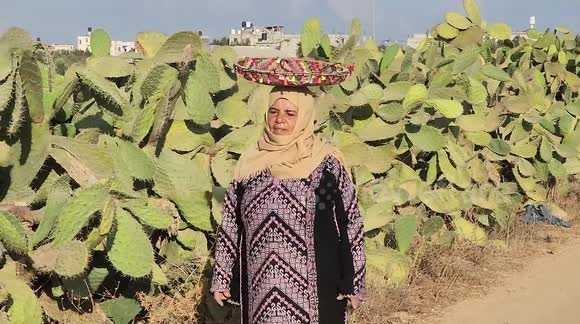 Palestinian Amune Abu Rajila, 72, works in her field on the ...