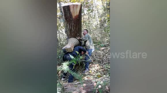 Strong Chinese man carries more than 300kg wood to walk down mountain ...