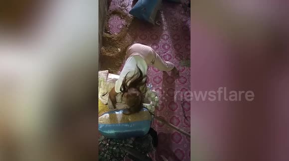 Housewife catches huge snake hiding in kitchen using blanket - Buy ...