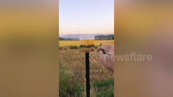 Chinese 3-D painter creates awesome optical illusions using perspective ...