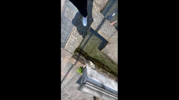 This SUPER-CLEAN canal in Shimabara, Japan is the home of colorful Carp ...