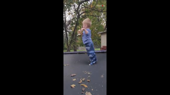 Toddler disgusted by leaves stuck to his face after an EPIC trampoline ...