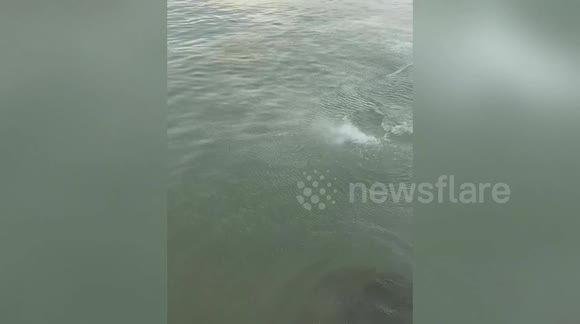 Terrifying whirlpool rips across the sea like shark swimming towards ...