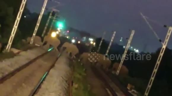 India's railways develop technology to intercept elephants on train ...