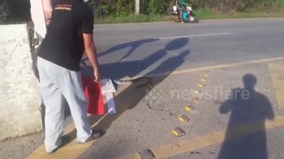 Large wild python shocks drivers when it was seen coiled around road ...