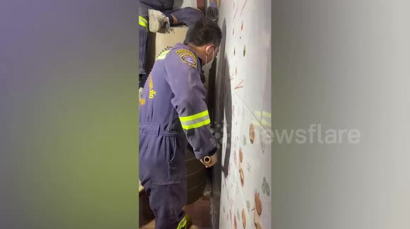 Shocked factory worker finds wild python hiding behind water tank in ...