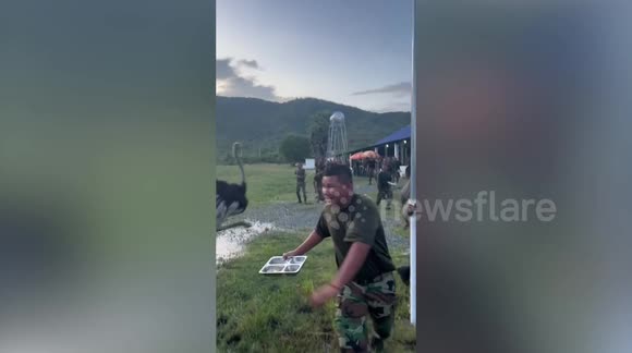 Ostrich causes chaos and scares soldiers while chasing dog during army ...
