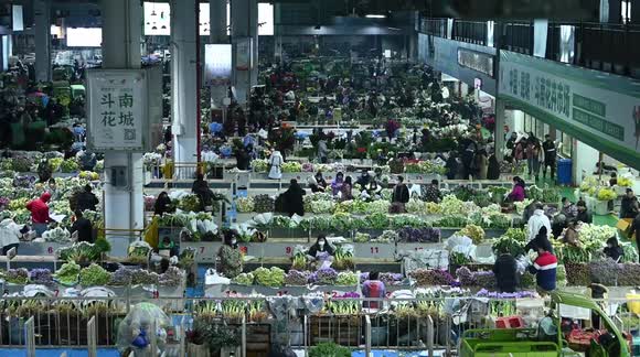 Exploring Asia's largest cut flower market in Kunming, China - Buy ...
