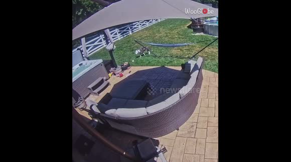 Reckless dog tumbles into a hot tub while running in the flow! - Buy ...