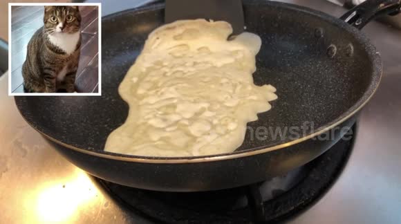 Cat Pancake Art made by Japanese Chef with no coloring materials at all ...
