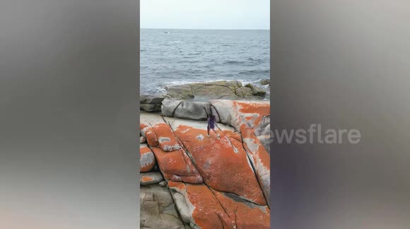Tourist suffers embarrassing beach photo fail when she slips off wet ...