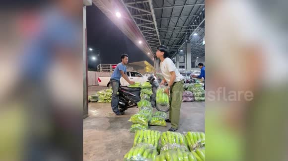 Motorcycle rider stacks hundreds of cucumbers on his bike - Buy, Sell ...
