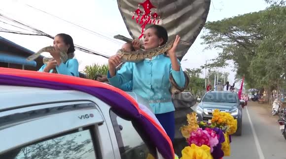 Thai women dance with snakes for bizarre religious parade - Buy, Sell ...