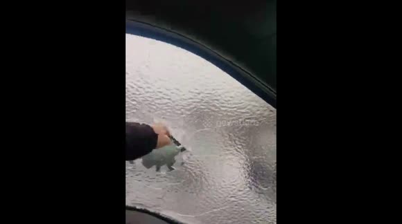 Viral video shows NY police officer punching through a sheet of ice ...
