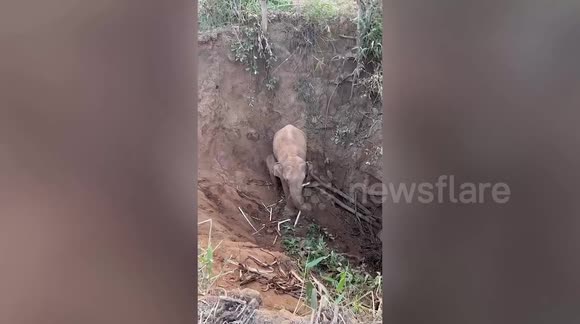Exhausted mother and baby elephant stuck in hole rescued using ...