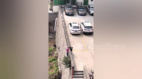 Heroic children prevent girl from falling over wall by holding her ...