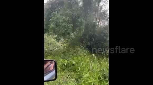 Aftermath of tropical cyclone Judy in Vanuatu - Buy, Sell or Upload ...