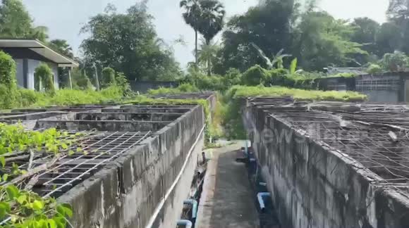 Hundreds of hungry cannibal crocodiles begin EATING EACH OTHER while ...