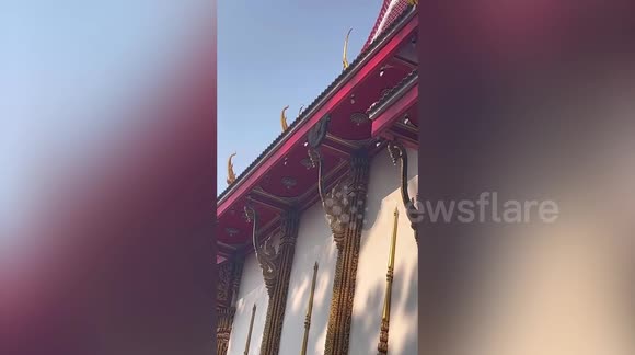 Bees form mesmerising 'defensive wave' in response to loud music at ...