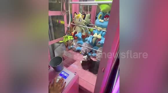 Amusing cat pretends to be toy inside claw machine - Buy, Sell or ...