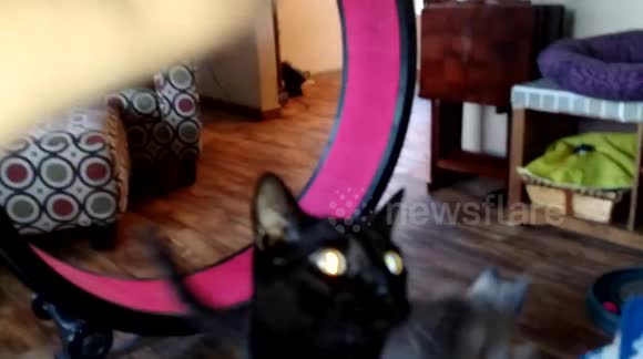 Mr Butters has an accident - Buy, Sell or Upload Video Content with ...