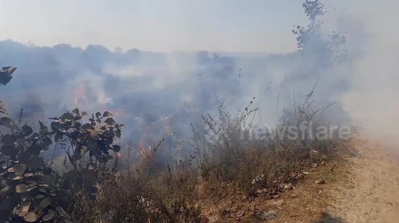 fire on the rice fields in India .Open fire at rice paddy field causing ...