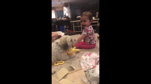 Baby can't stop giggling while playing with her best friend fur-ever ...