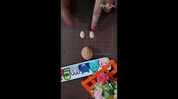 Woman creates fun owl figurine by using walnut and pistachio shells ...
