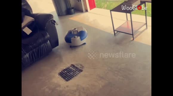 Over-efficient robot mop gets damaged while trying to tidy up crusty ...