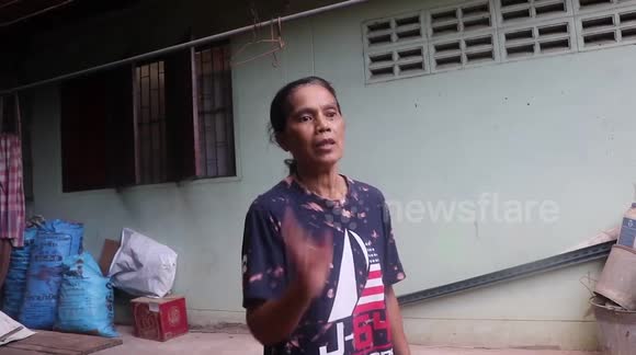 Ravenous 8ft long python kills four chickens before being caught by ...