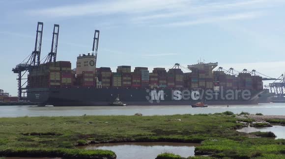 Ultra large container ship MSC Raya arriving (backwards!) at her Maiden ...