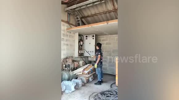 Animal rescuer electrocuted while removing large python coiled among ...